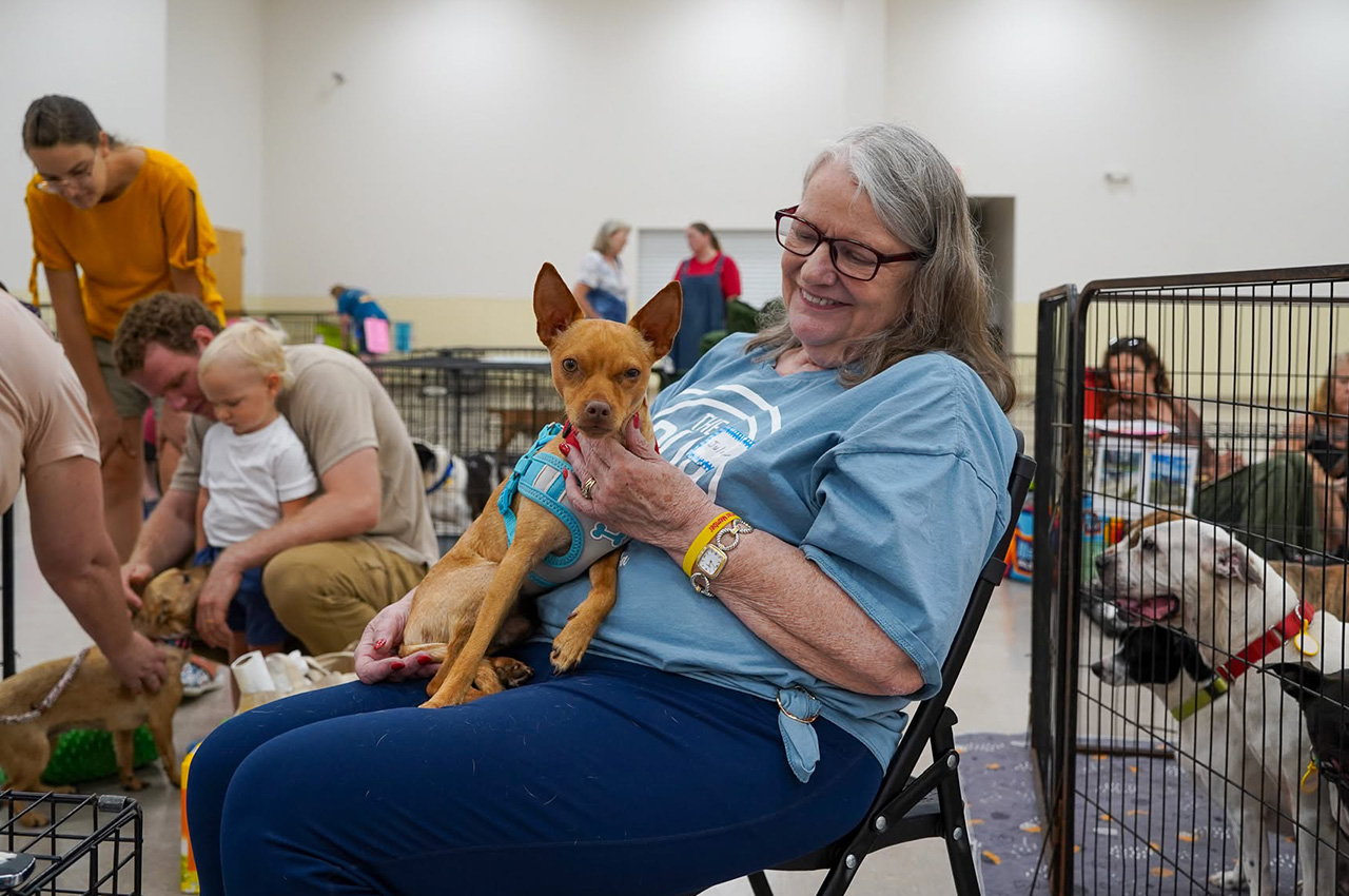 Crestview Animal Services joins statewide MEGA adoption event with goal ...